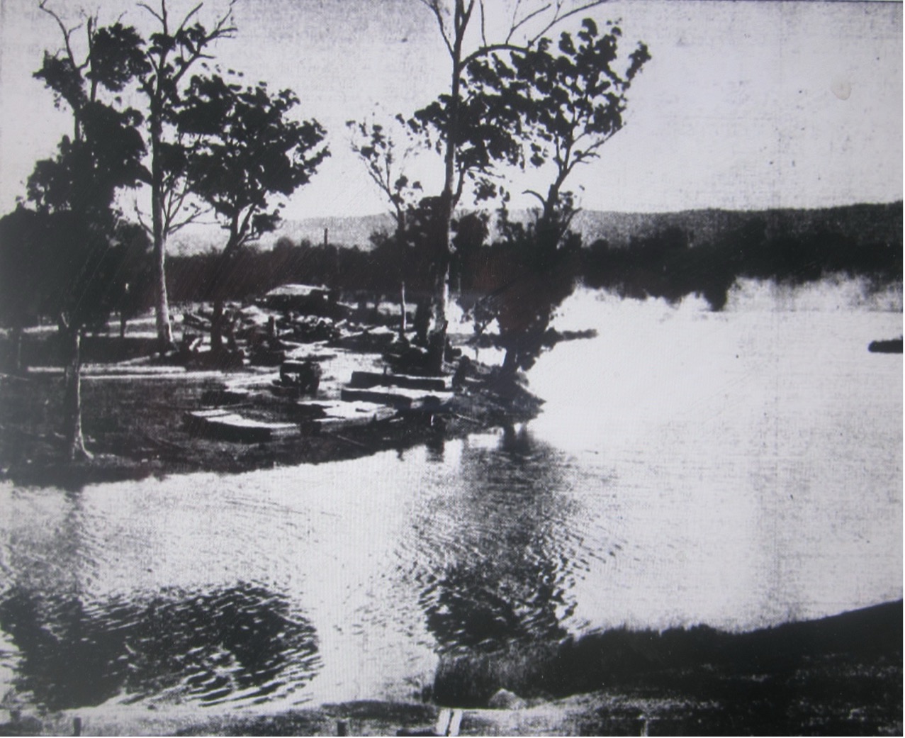 Early History of the Timber Industry in the Myall and Port Stephens ...