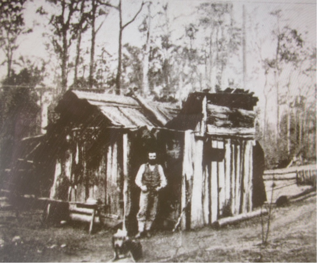 EARLY HISTORY OF THE TIMBER INDUSTRY IN THE MYALL AND PORT STEPHENS ...