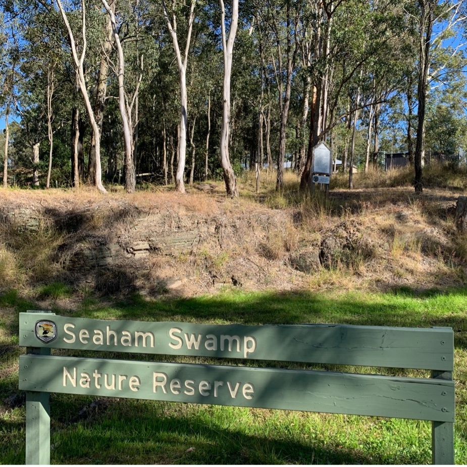 GLACIAL ACTIVITY AT EDGEWORTH DAVID QUARRY AT SEAHAM – Port Stephens ...