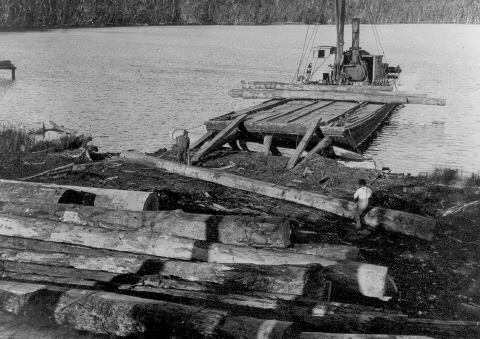 Hulk of the Drogher ‘Salamander’ at Port Stephens – Port Stephens – a ...