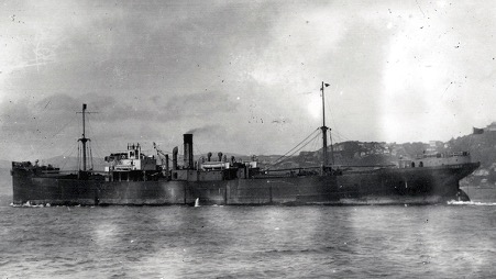 EARLY HISTORY OF THE TIMBER INDUSTRY IN THE MYALL AND PORT STEPHENS ...