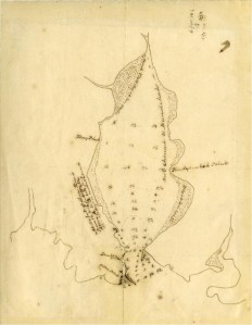 First Land Survey and Early Maps of Port Stephens – Port Stephens – a ...