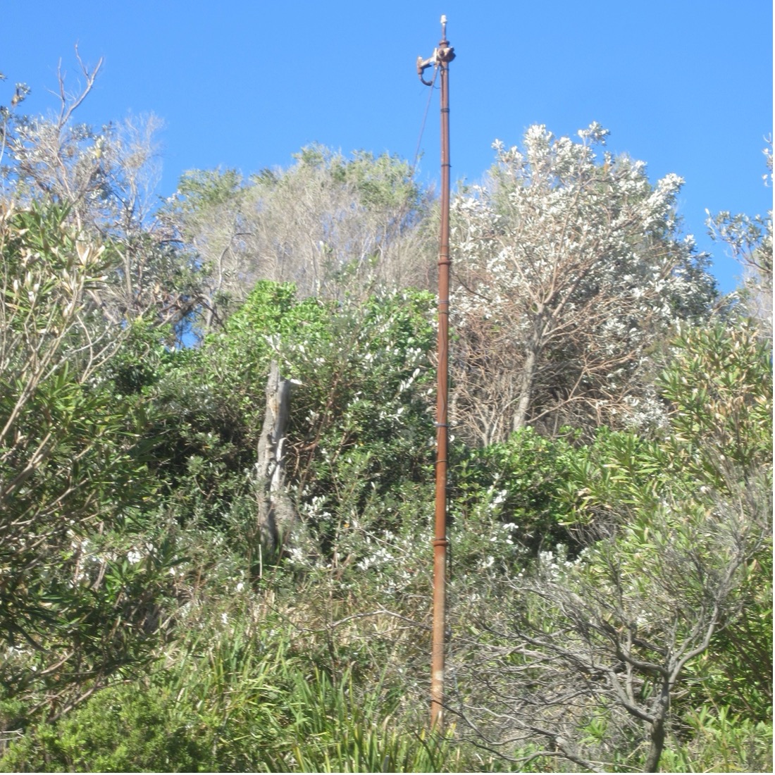 Historic Metal Telegraph Poles at Port Stephens – Port Stephens – a ...