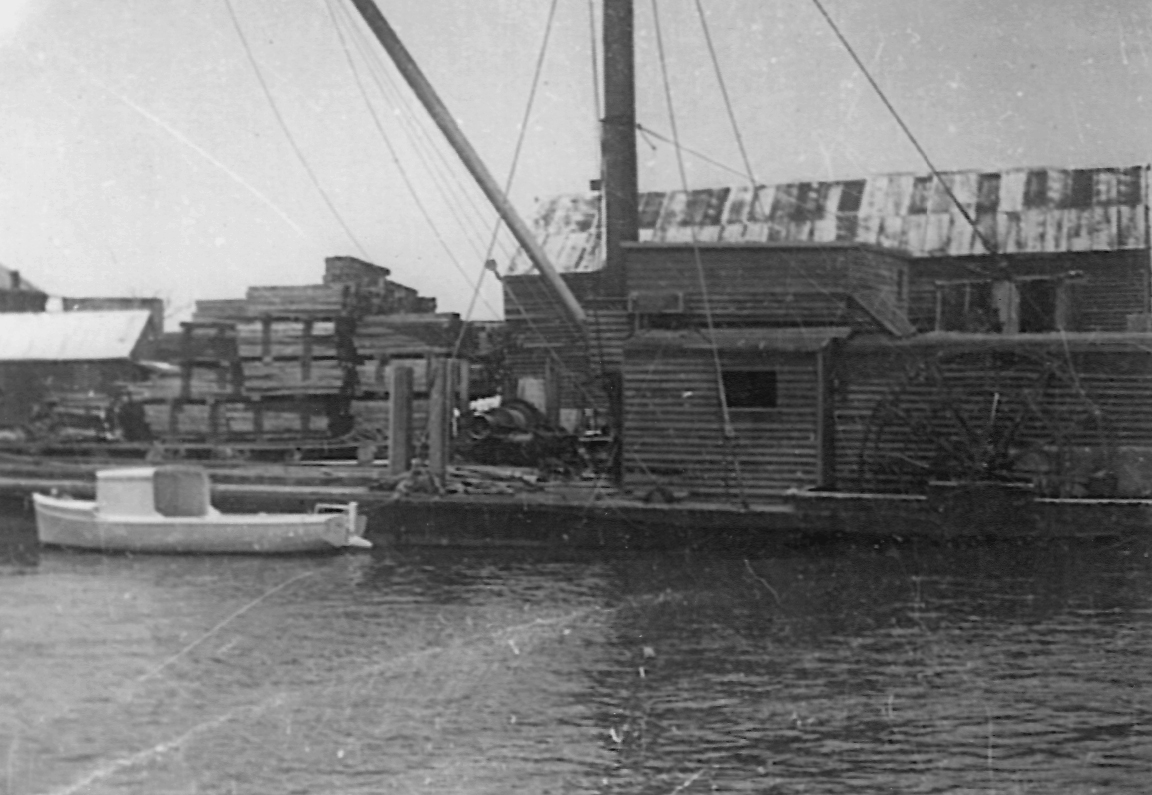 History of the Birdwood Timber Mill at Winda Woppa – Port Stephens ...